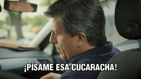 Driving Juan Diego Botto GIF by Canal TNT - Find & Share on GIPHY