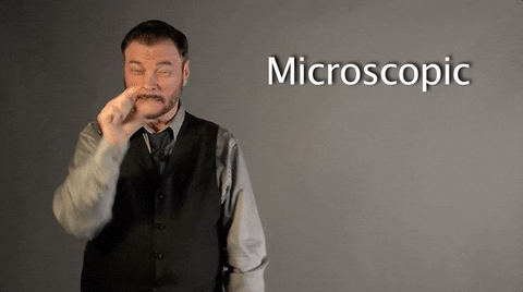 Shapes & Sizes GIFs on GIPHY - Be Animated