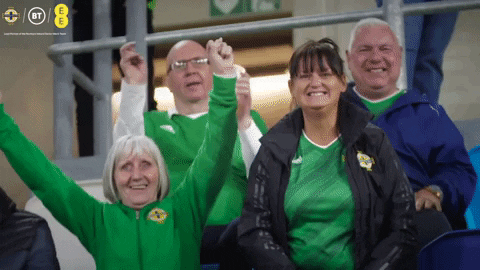 Excited Irish Football GIF by Northern Ireland - Find & Share on GIPHY