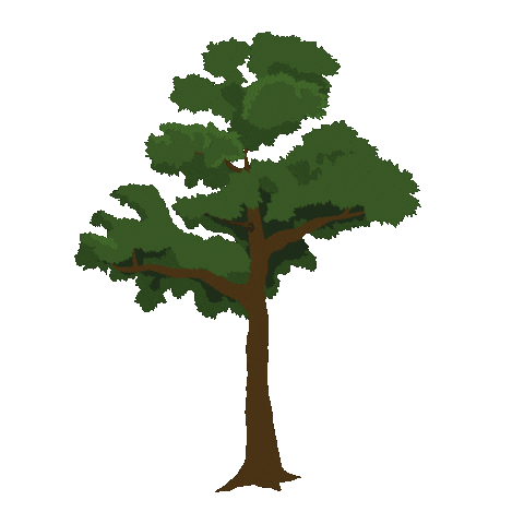 Travel Tree Sticker by Kew Gardens for iOS & Android | GIPHY
