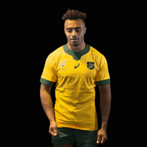 Wallabies Reach For The Sky GIFs - Get the best GIF on GIPHY