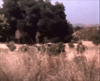 Dukes Of Hazzard Jump Gif