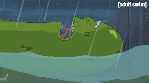 Pickle Rick GIFs on GIPHY - Be Animated