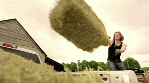 Muscle types, step in. Need consult on building legs. - AR15.COM