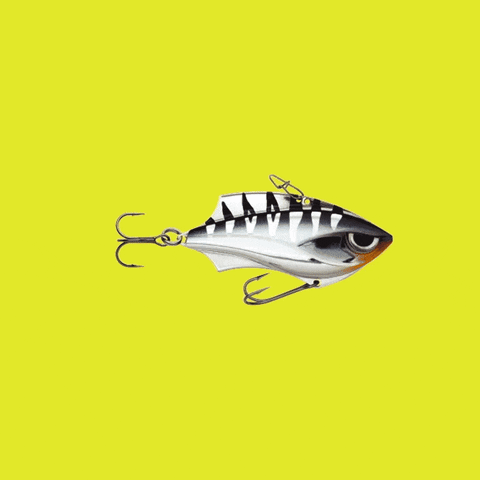 Fishing GIF by Rapala - Find & Share on GIPHY