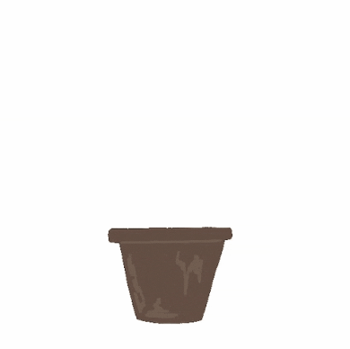Flower Growing Gif