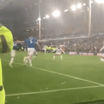 Everton Football Club GIFs on GIPHY - Be Animated