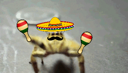 Conga GIFs - Find & Share on GIPHY