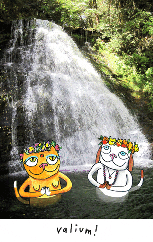 Drug-waterfall GIFs - Get the best GIF on GIPHY