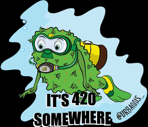 Its 420 GIFs - Get the best GIF on GIPHY