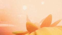 Smile-sweetie GIFs - Get the best GIF on GIPHY