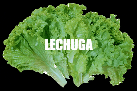 Lechuga GIFs - Get the best GIF on GIPHY