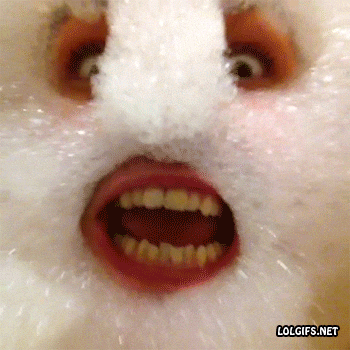 Bath-bath-bath-jacksgap GIFs - Get the best GIF on GIPHY