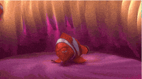 Finding Nemo Bruce Gif