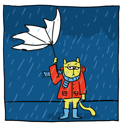 Cat Rain GIF - Find & Share on GIPHY
