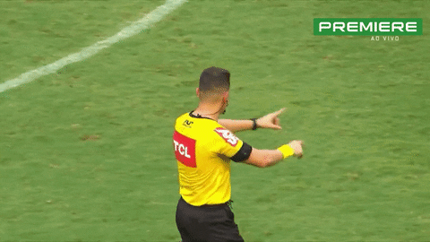 Serie A Var GIF by Canal Premiere - Find & Share on GIPHY