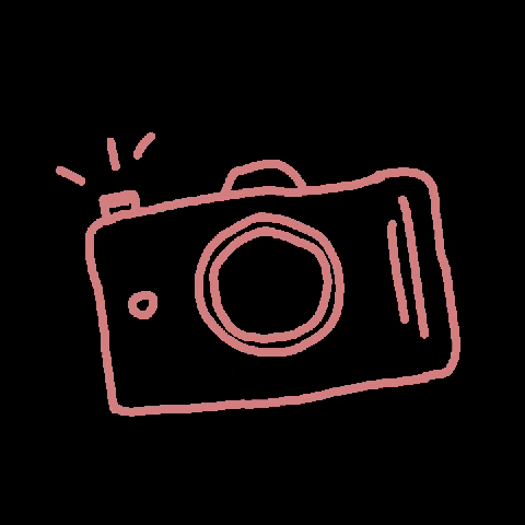 Pink Camera GIFs - Get the best GIF on GIPHY