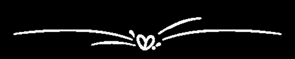 Line White GIFs - Get the best GIF on GIPHY