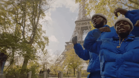 France Party GIF by RCA Records UK - Find & Share on GIPHY