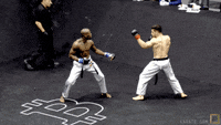 Karate Fight Gif
