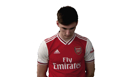 Arsenal Sticker for iOS & Android | GIPHY