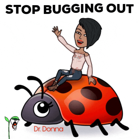 Im Irritated GIFs - Get the best GIF on GIPHY