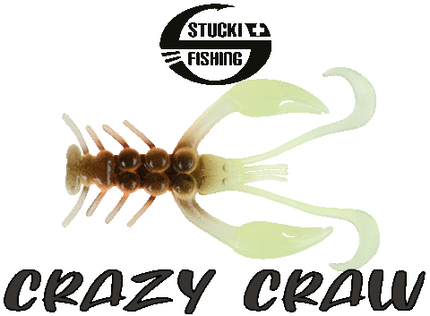 Stucki Fishing GIFs on GIPHY - Be Animated