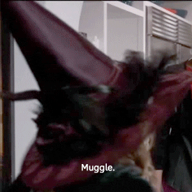 Muggle GIFs - Get the best GIF on GIPHY