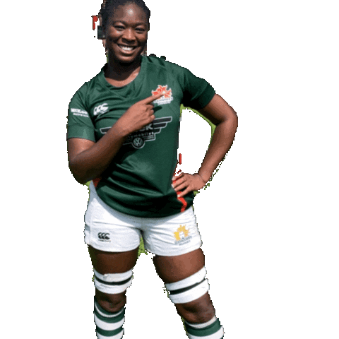 Ottawa Beavers & Banshees RFC GIFs on GIPHY - Be Animated