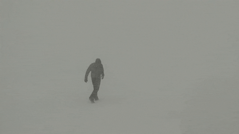 Etats-Unis Blizzard GIF by BFMTV - Find & Share on GIPHY