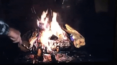 Yuletide Log GIFs - Get the best GIF on GIPHY