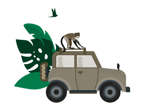 Jeep Do Brasil GIFs - Find & Share on GIPHY