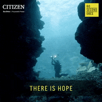 Deep Blue Sea 1999 Gif