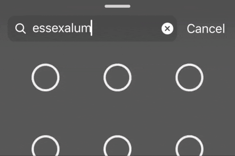 We Are Essex GIFs - Get the best GIF on GIPHY