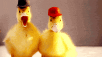 Quack Gif