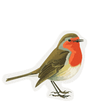 Stickers to Celebrate #BigGardenBirdWatch by RSPB | GIPHY
