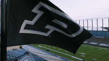 Black And Gold Boilermakers GIF by Purdue University - Find & Share on ...