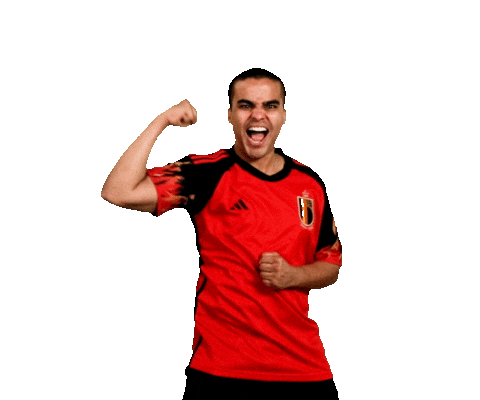 Belgium GIFs on GIPHY - Be Animated