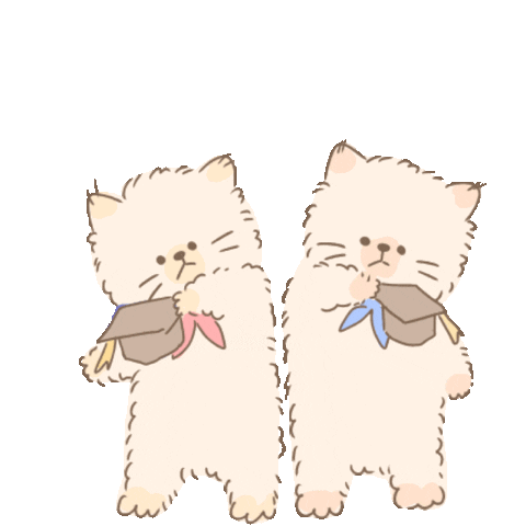 Cat Graduate Sticker for iOS & Android | GIPHY