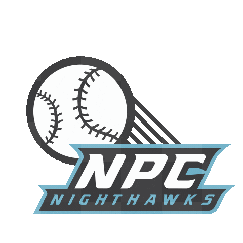 Nighthawks Baseball Logo