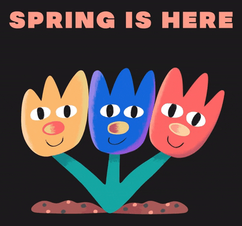 Spring-couplets GIFs - Get the best GIF on GIPHY