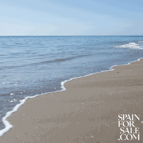 Sales-meme GIFs - Get the best GIF on GIPHY