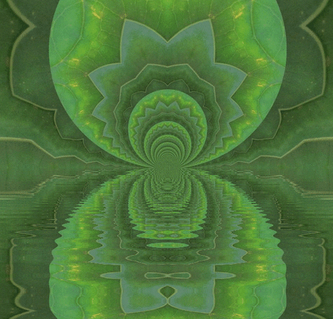 Tropical Leaves GIFs - Get the best GIF on GIPHY