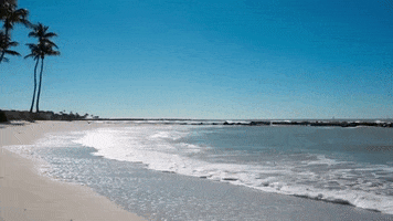 Hillsborough County Sheriffs Office Florida GIFs - Find & Share on GIPHY