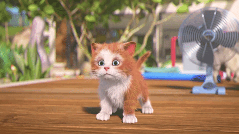 Sad Cat GIF by MightyMike - Find & Share on GIPHY