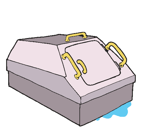 Gif North Plus | My XXX Hot Girl