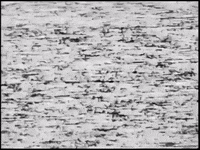 Tv Static Animated Gif