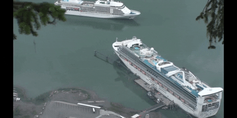 Yacht GIFs - Get the best GIF on GIPHY