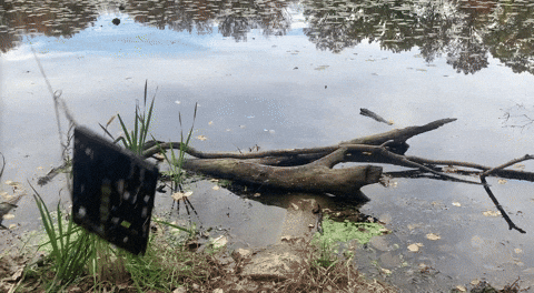 Computer-death GIFs - Get the best GIF on GIPHY