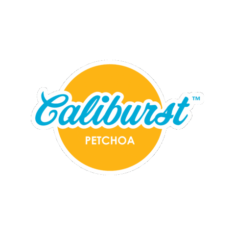 PanAm GIFs on GIPHY - Be Animated